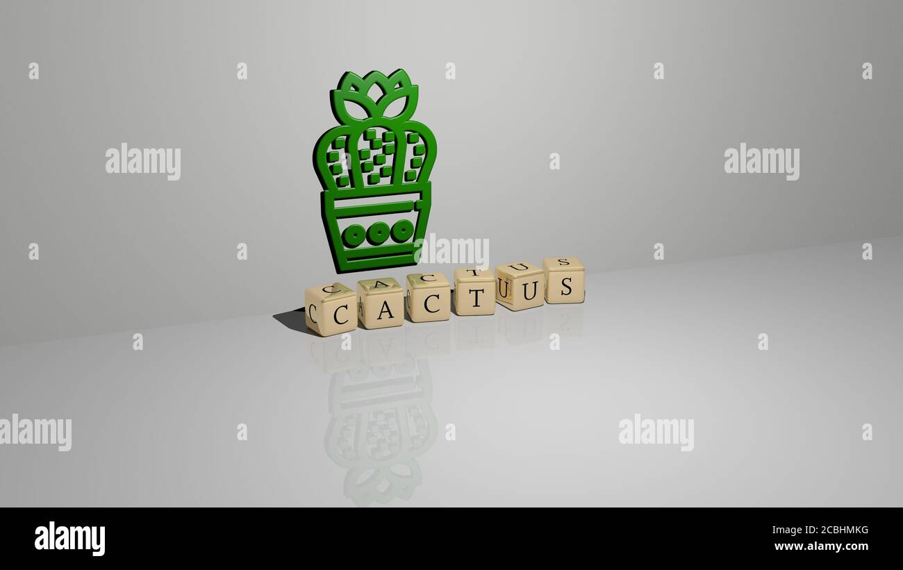 cactus text of cubic dice letters on the floor and 3D icon on the wall ...