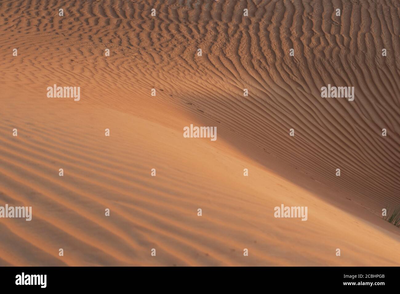 A mesmerizing view of rippled sand dunes in the desert, capturing the ...
