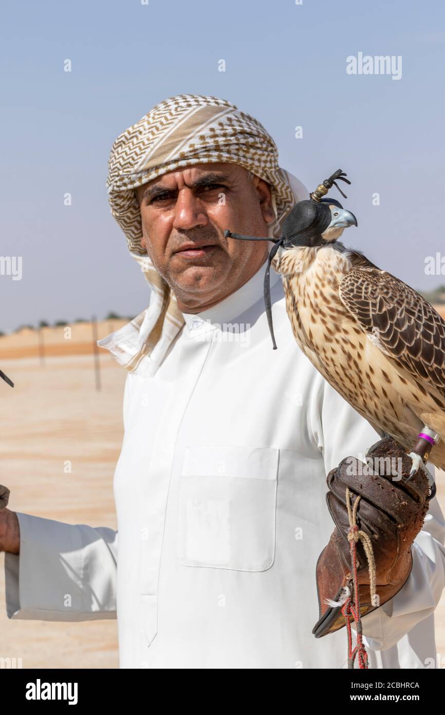 An Arab in traditional Arabic costume holding a falcon brought for the ...