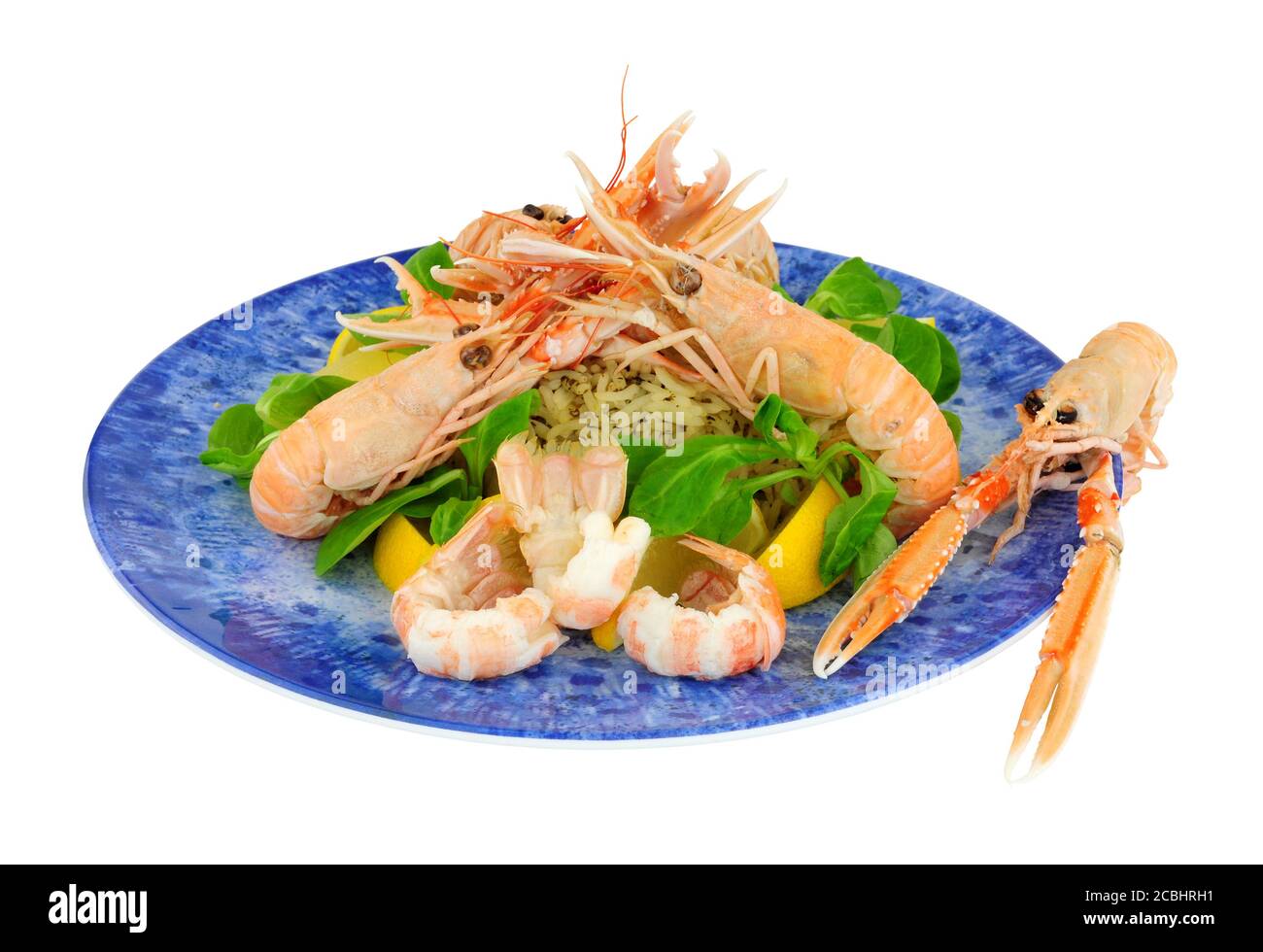 Freshly cooked whole Dublin Bay prawns also known as langoustine and ...