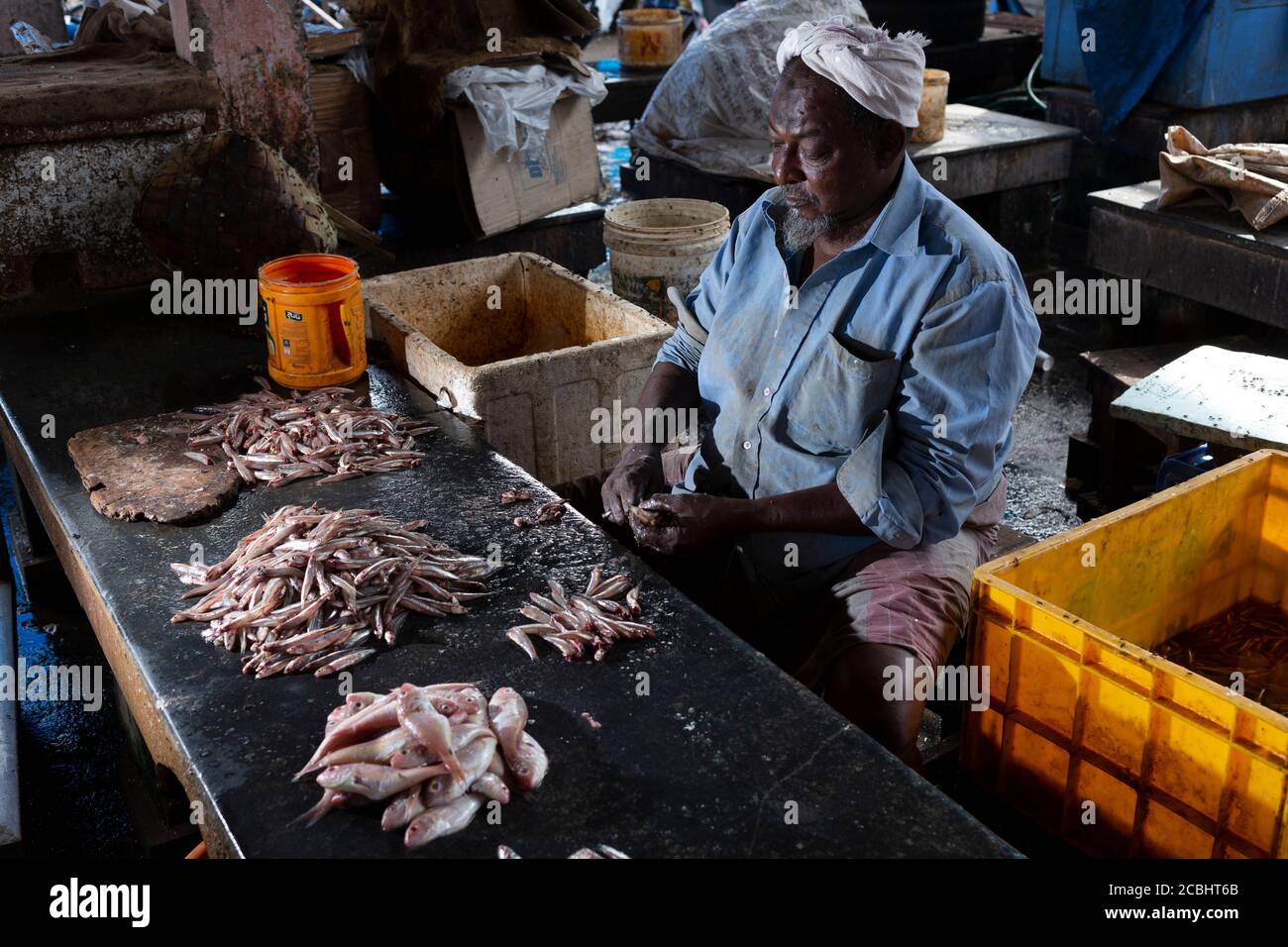 Fish seller at the Chalai market in Thiruvananthapuram Stock Photo - Alamy