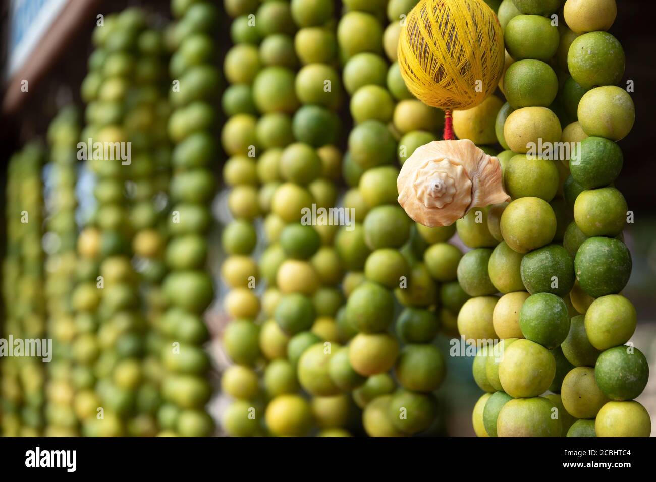 Lemon garlands kept for sale at a Kerala temple Stock Photo - Alamy