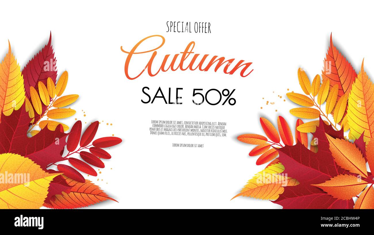 Autumn sale flyer template. Bright fall leaves. Poster, card, label ...