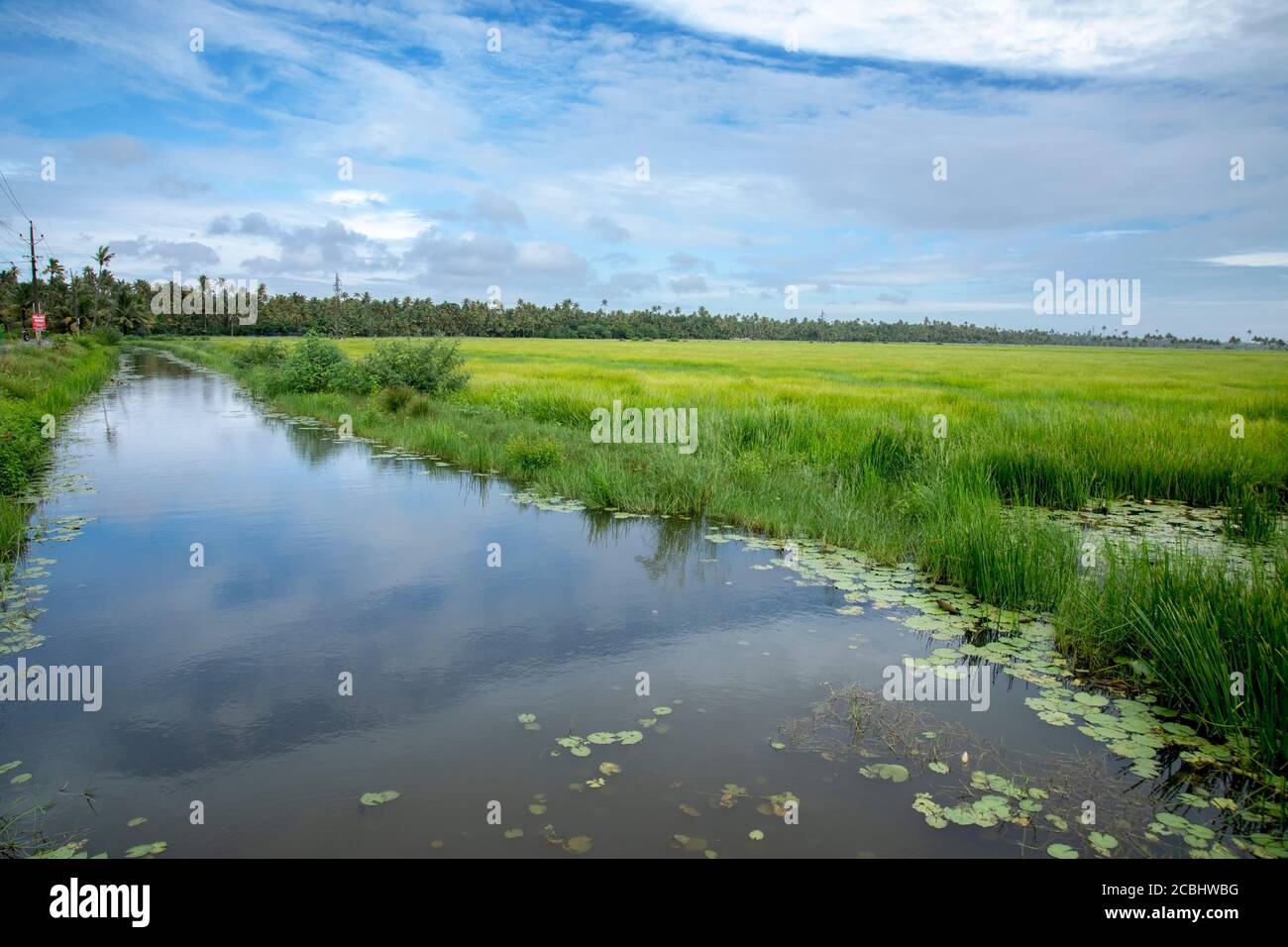 Tropical scene in Kerala Stock Photo - Alamy