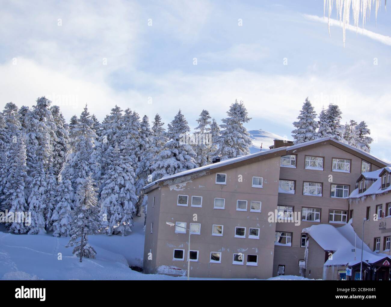 Winter landscape with trees and snow in Uludag,Turkey Stock Photo - Alamy