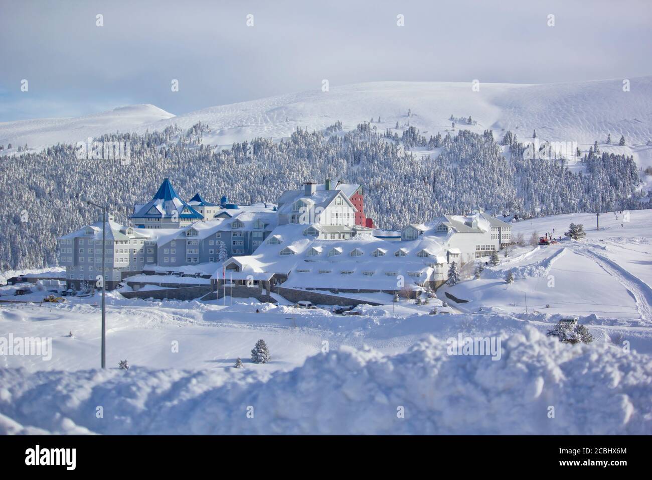 Winter landscape with trees and snow in Uludag,Turkey Stock Photo - Alamy