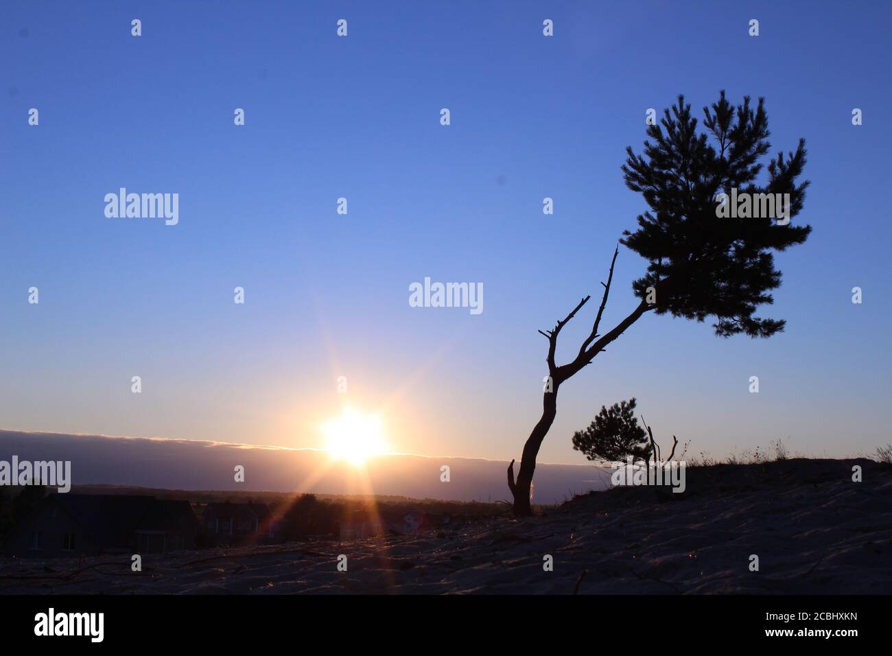 Hand rail trees hi-res stock photography and images - Alamy
