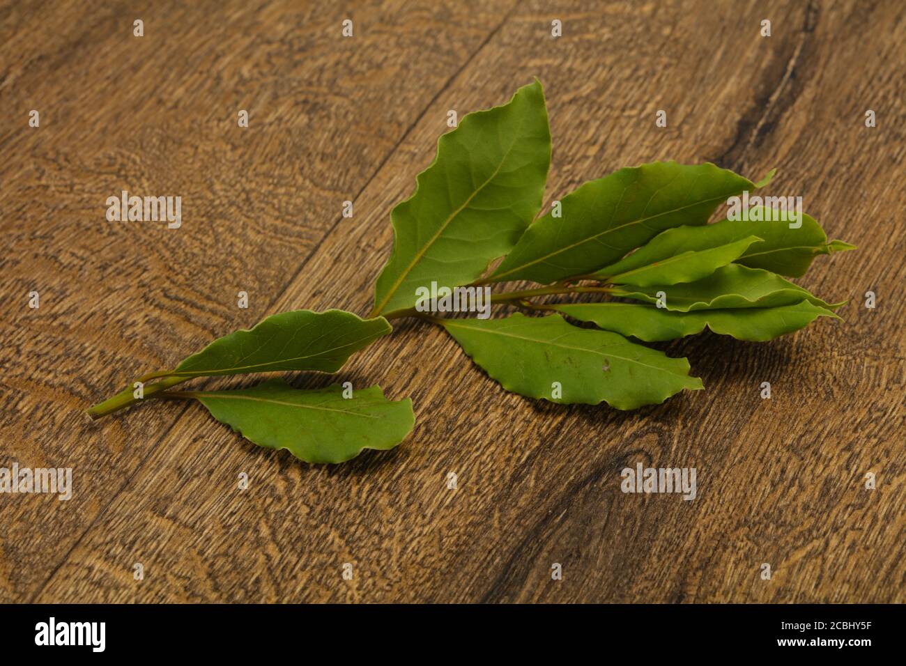 Green laurel leaves on the branch - for cooking Stock Photo - Alamy