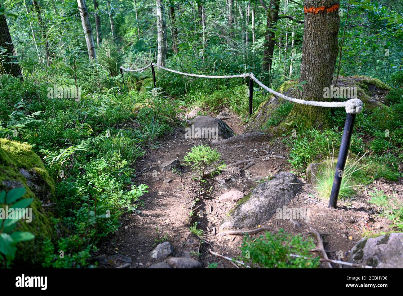 Steap hi-res stock photography and images - Alamy