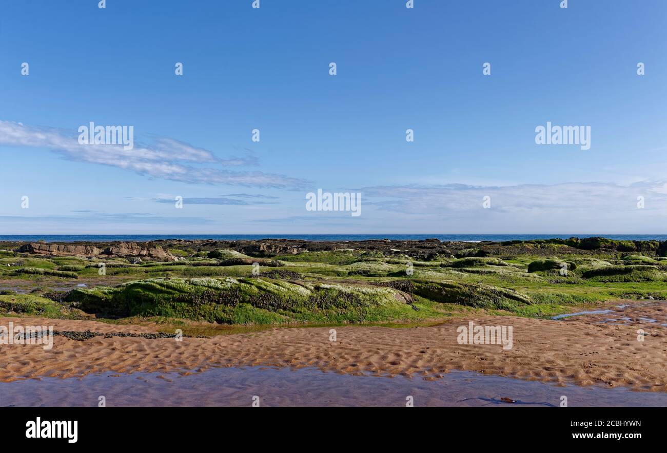 Pools on the shingle beach hi-res stock photography and images - Alamy