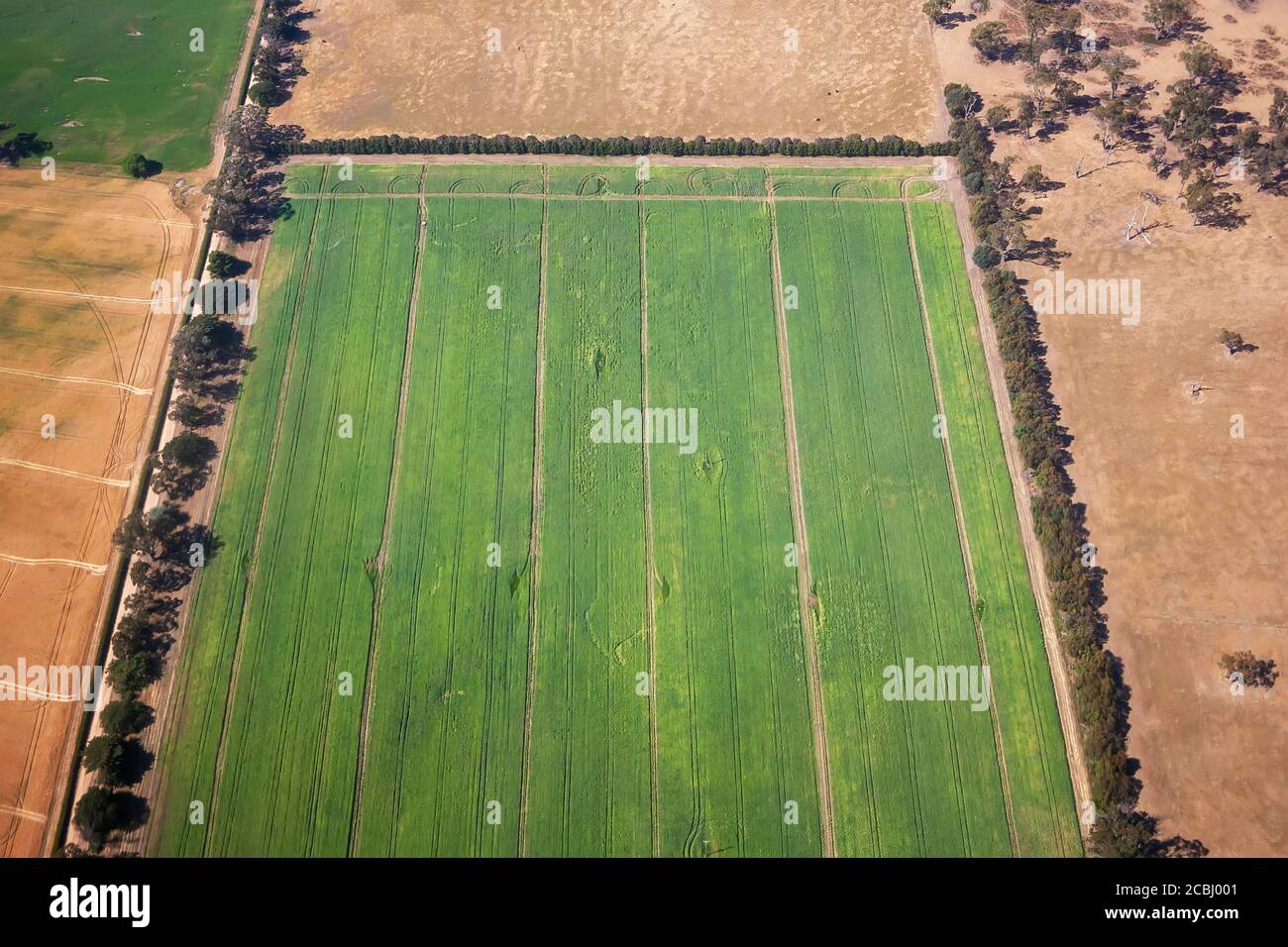 Agricultural fields in Queensland, Australia Stock Photo - Alamy