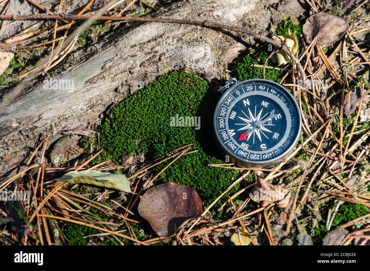 The concept of survival and orienteering in the forest. Compass on ...