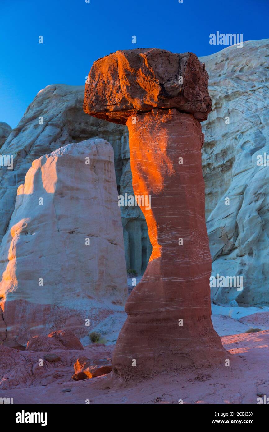 Toadstool Hoodoos, Grand Staircase-Escalante National Monument, Utah ...