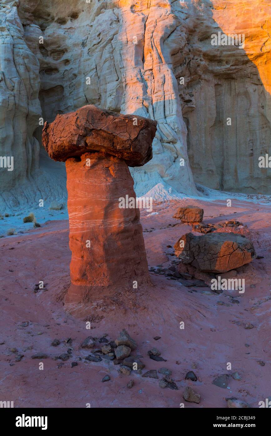 Toadstool Hoodoos, Grand Staircase-Escalante National Monument, Utah ...