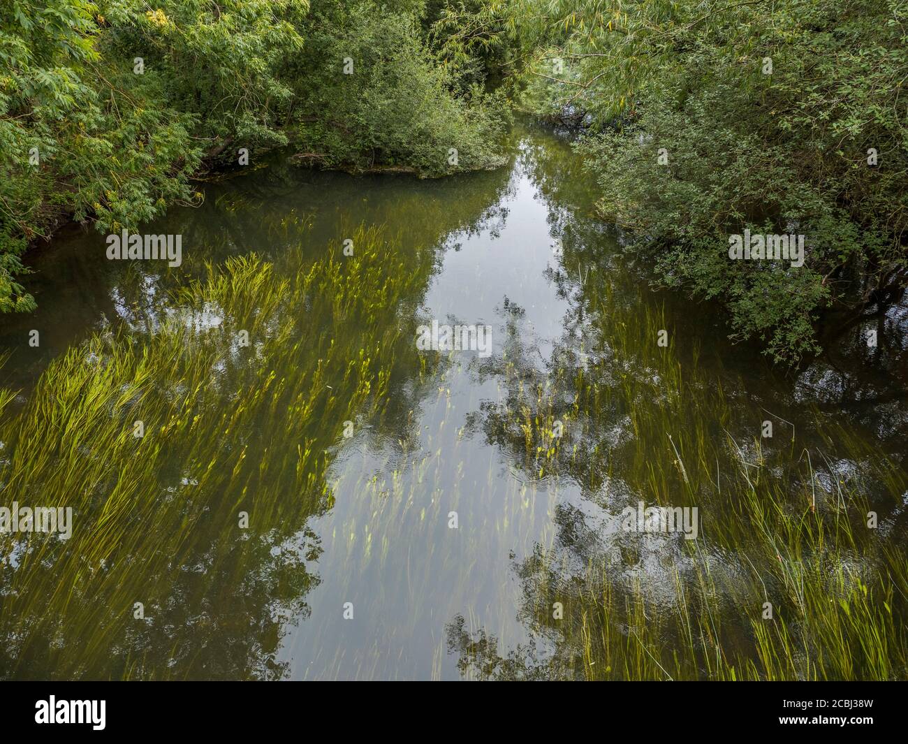 River Loddon, Winnersh, Wokingham, Berkshire, England, UK, GB Stock ...