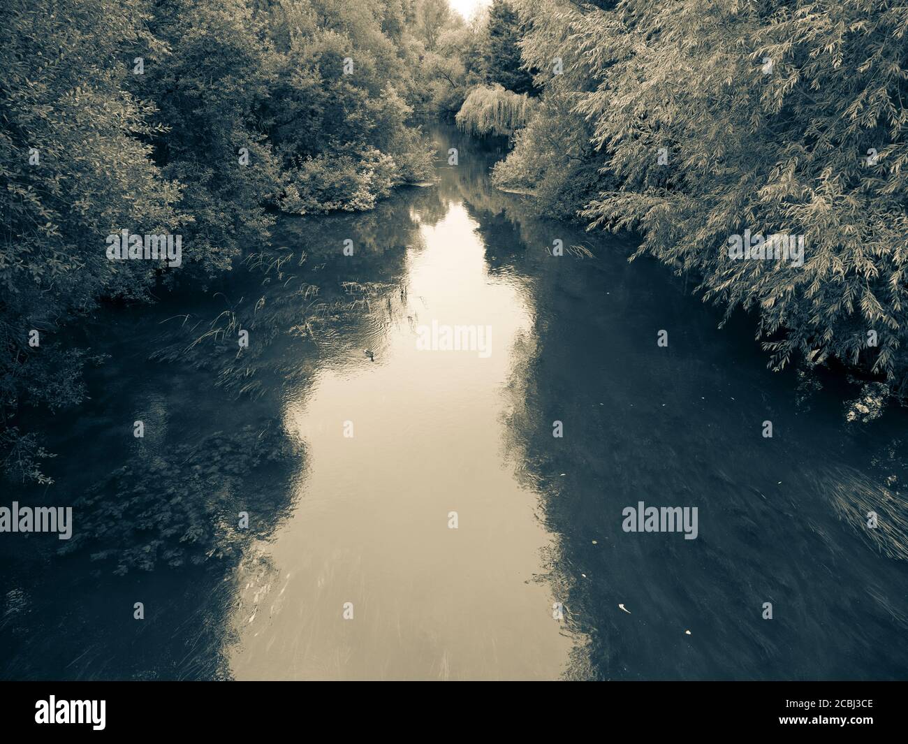 Black and White Landscape, River Loddon, Winnersh, Wokingham, Berkshire ...