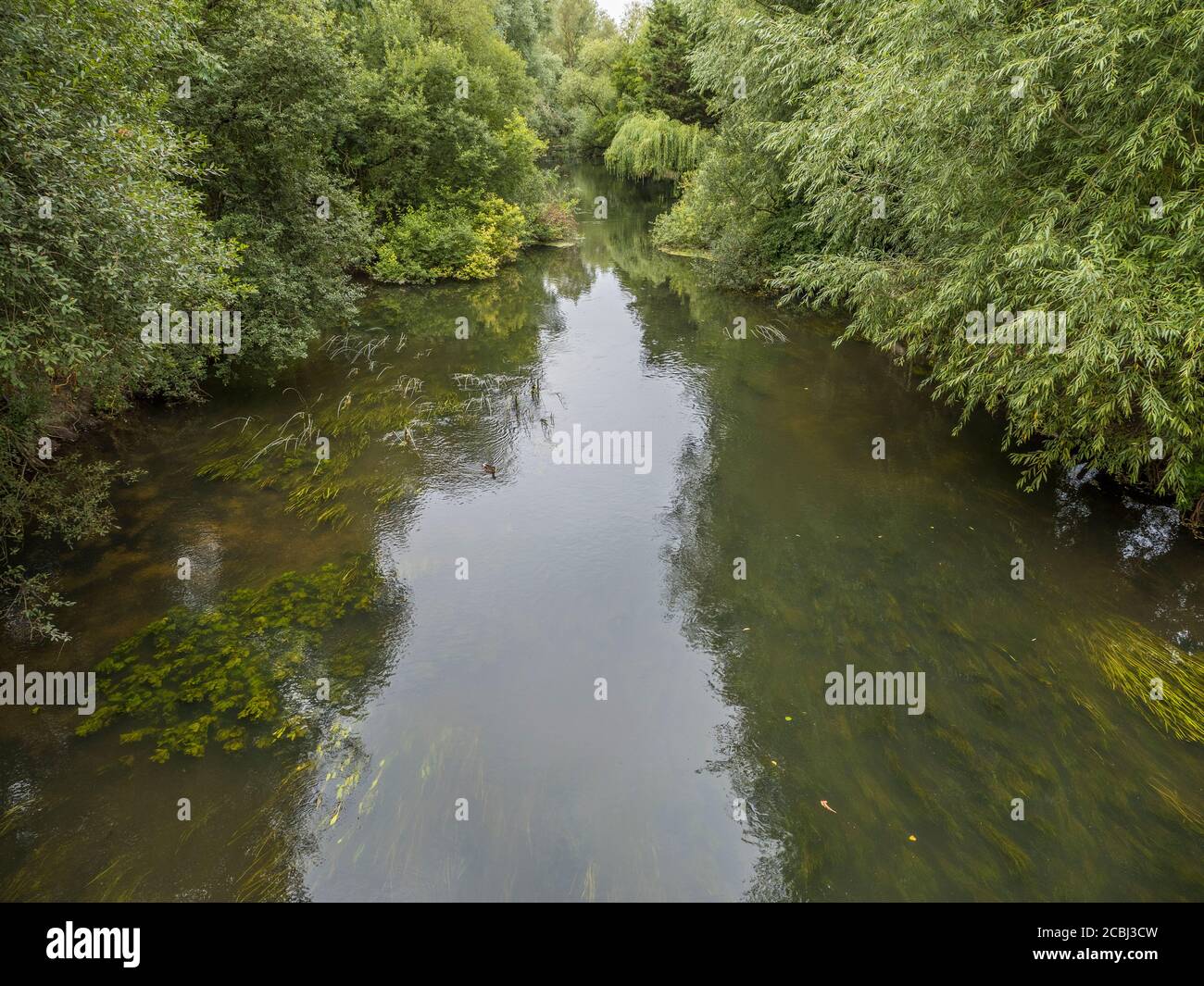Winnersh river hi-res stock photography and images - Alamy