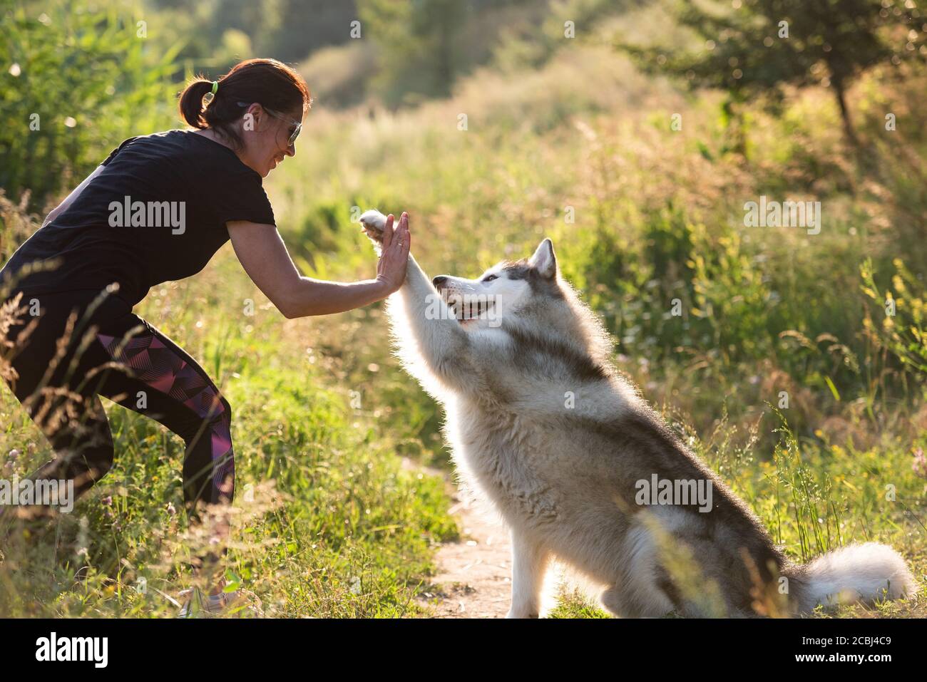 Female Malamute High Resolution Stock Photography and Images - Alamy