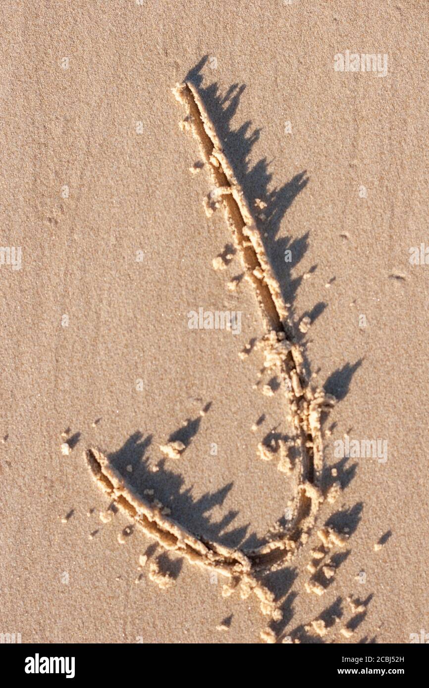 J - Alphabet letter written on sand Stock Photo - Alamy