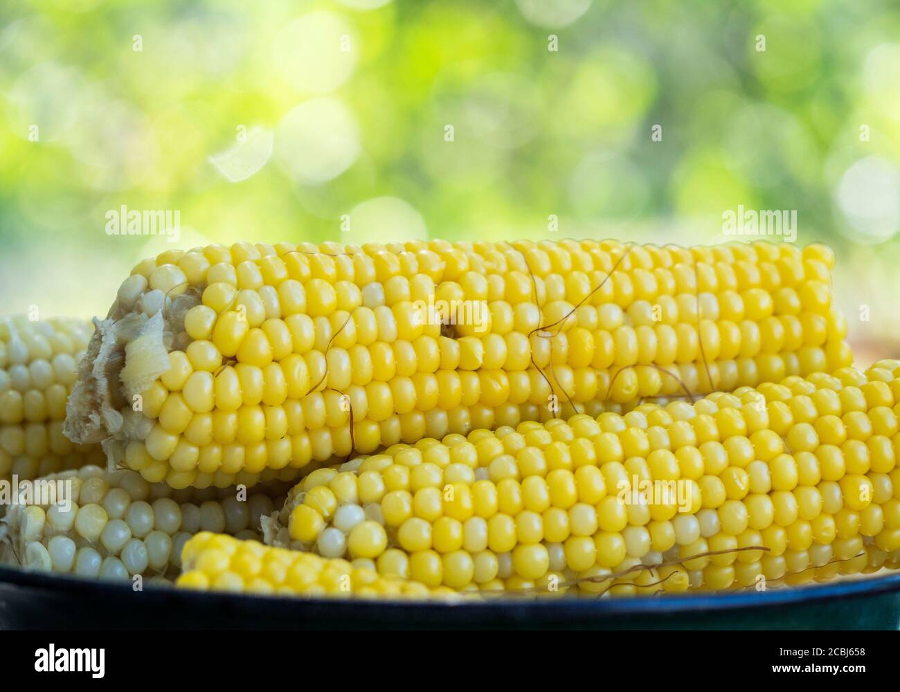 Boiled corn in a metal enamel bowl on a garden background Stock Photo ...