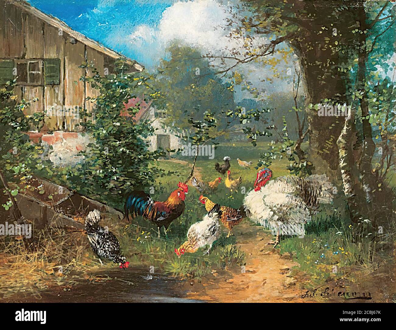 Pluimvee hi-res stock photography and images - Alamy