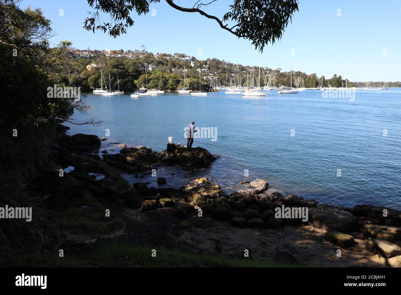 Seaforth New South Wales High Resolution Stock Photography and Images ...