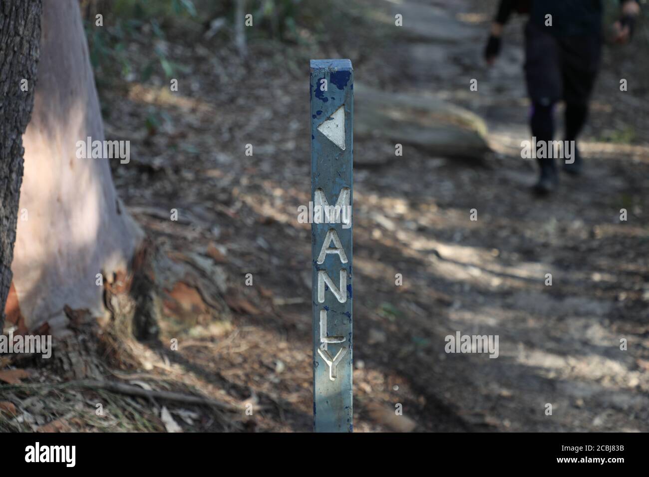 A walker comes from the direction of the turn off to Grotto Point ...