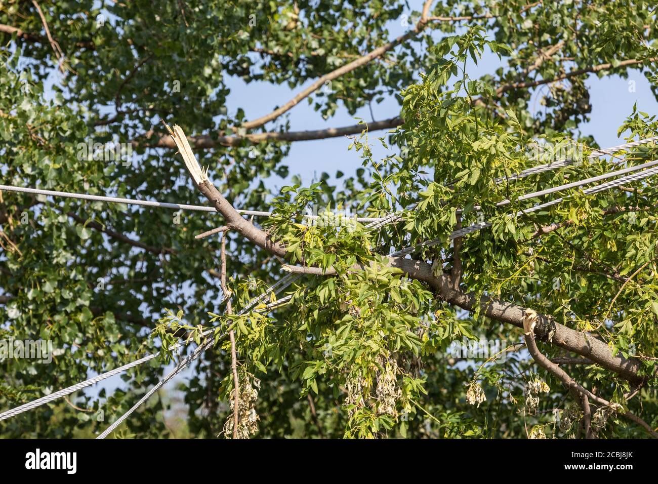 Cedar Rapids, Iowa, USA. 13th August, 2020. A utility crew from ...