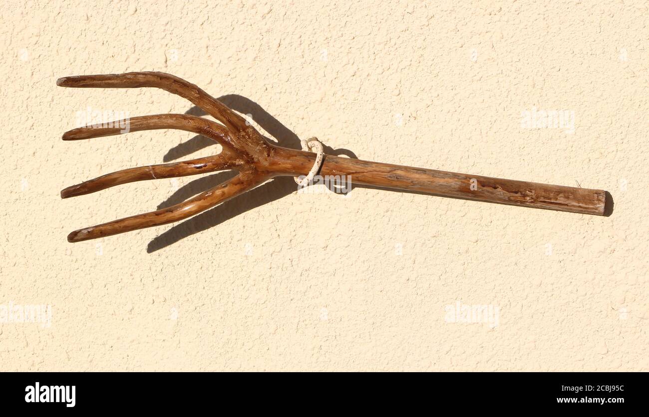 Natural wood rake or fork made from one tree branch and two single ...