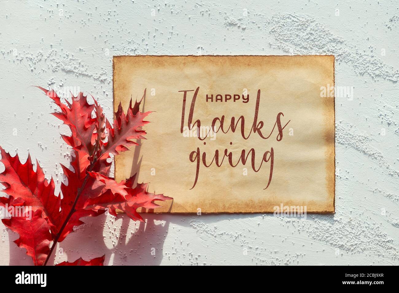 Flaming red oak leaves, long shadow design. Text "Happy Thanksgiving ...
