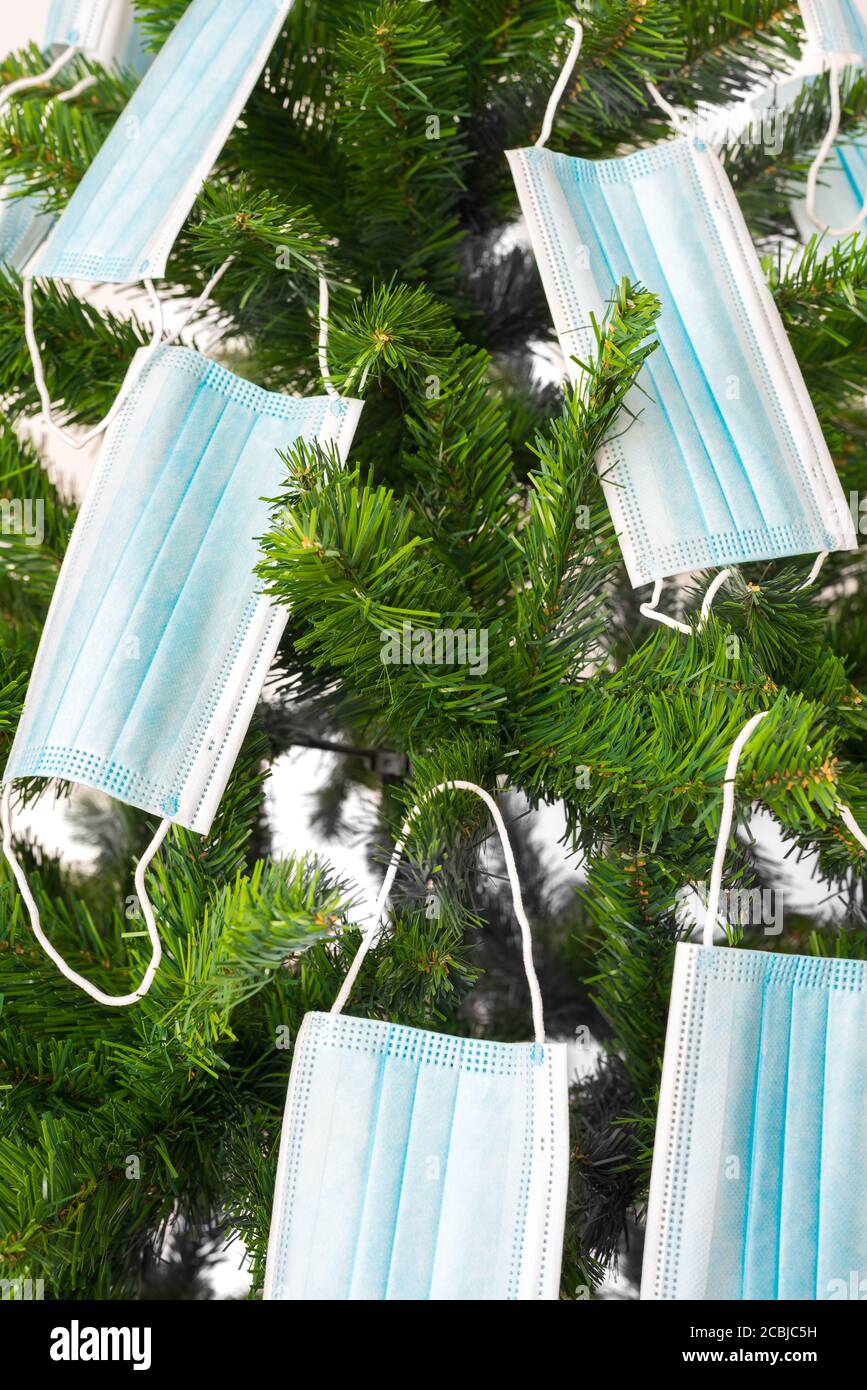 Corona tree hi-res stock photography and images - Alamy