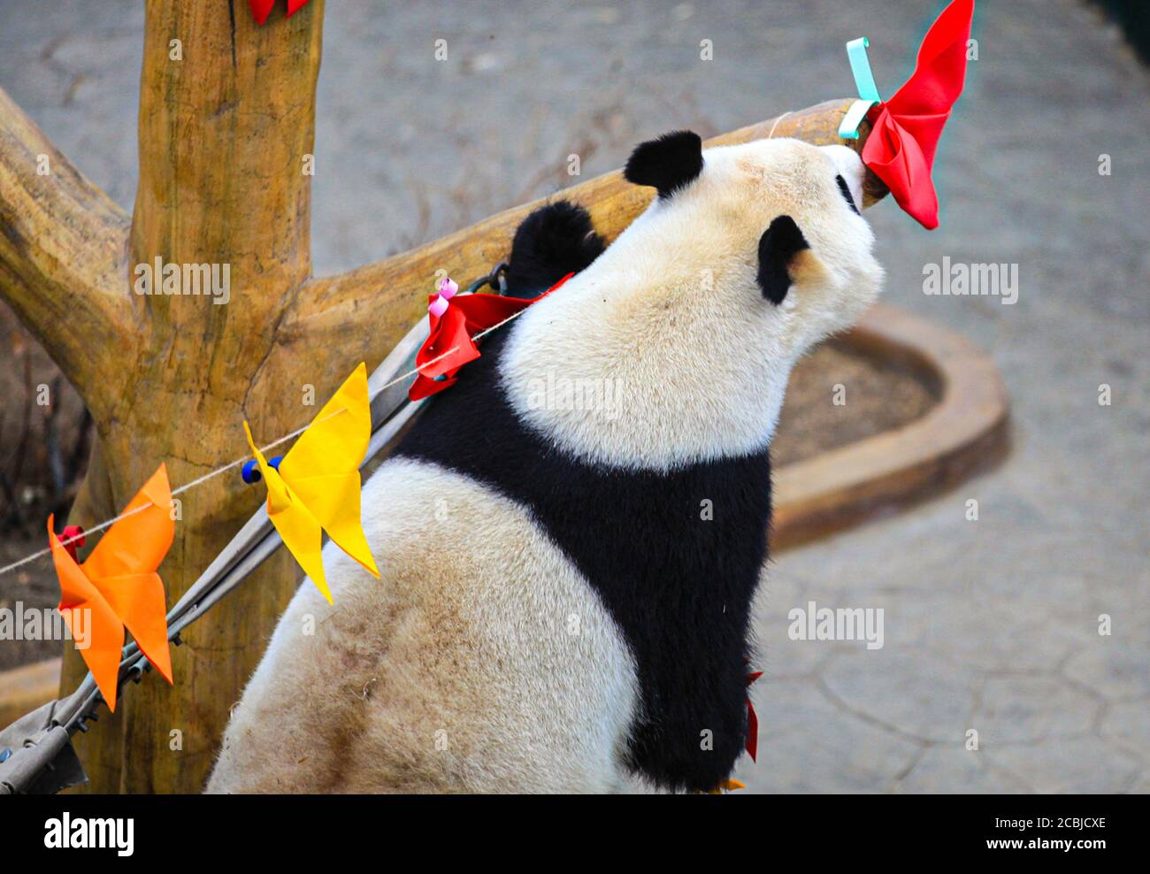Happy 9th birthday hi-res stock photography and images - Alamy