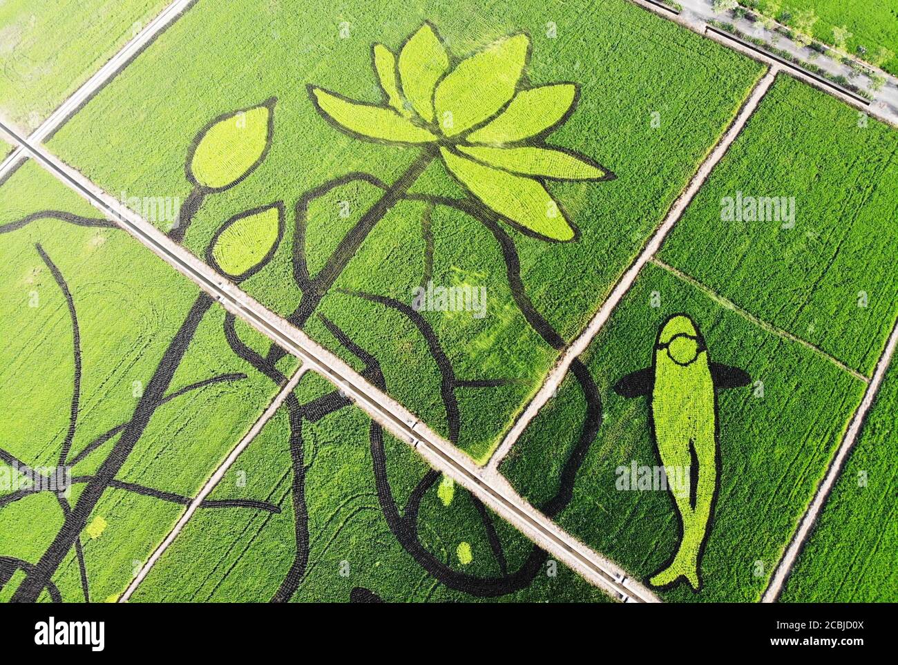 Hangzhou, Hangzhou, China. 14th Aug, 2020. ZhejiangÃ¯Â¼Å'CHINA-Aerial ...