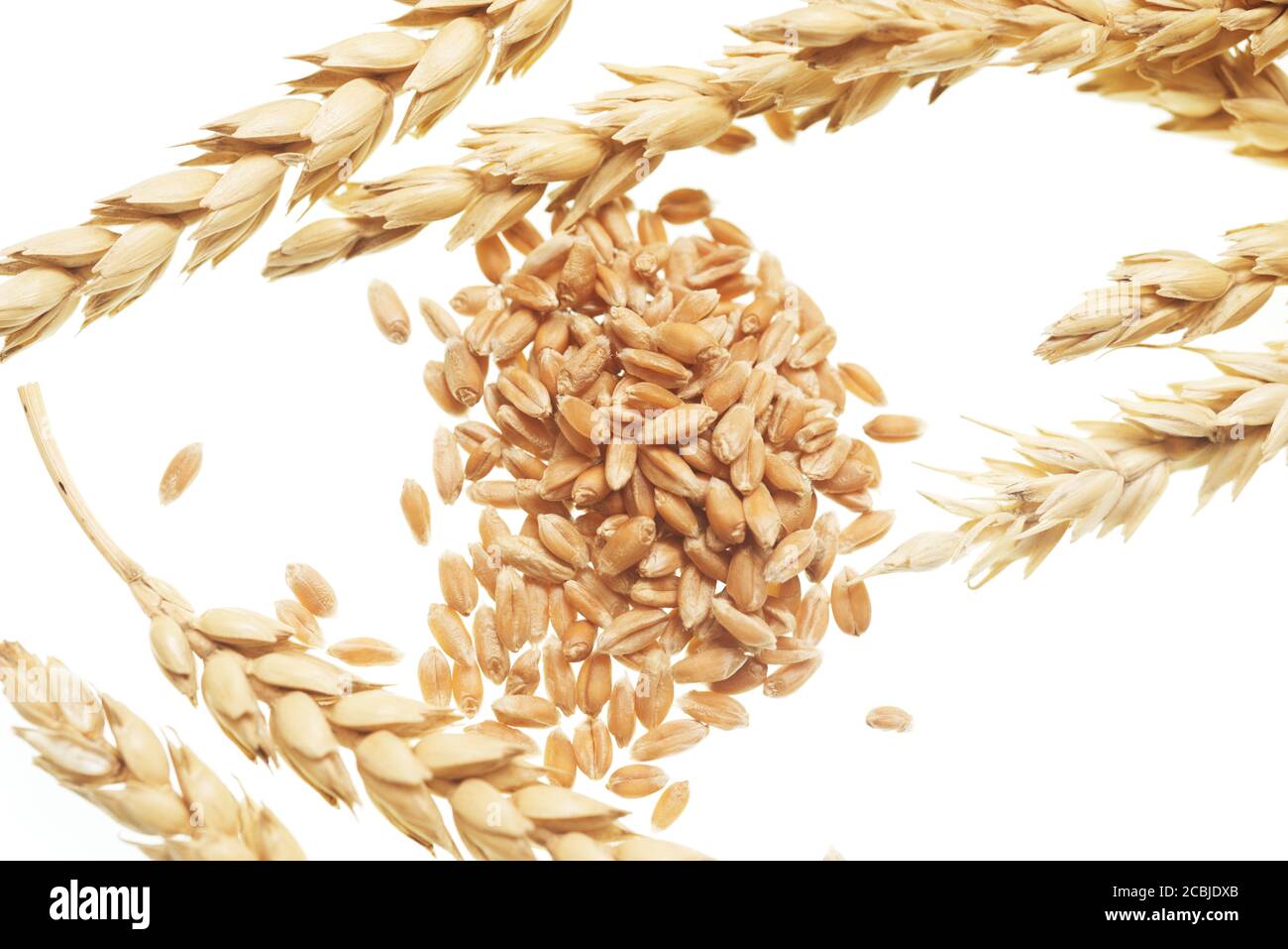 Wheat isolated on white background Stock Photo - Alamy