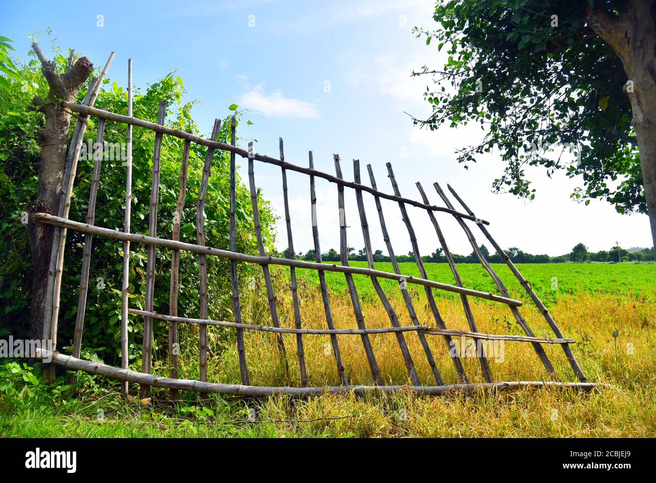 Traditional farm gate made with wooden stick Stock Photo - Alamy