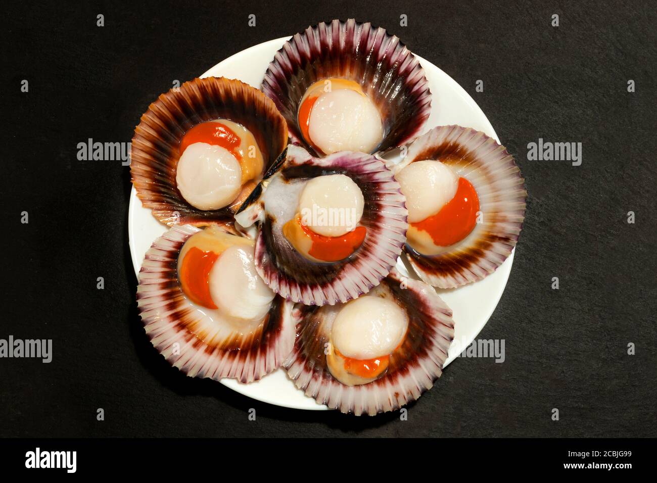 Queen scallop hi-res stock photography and images - Alamy
