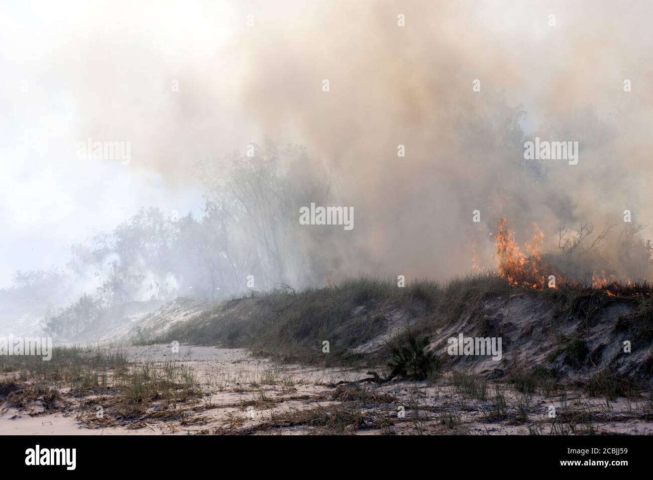Australia bushfires in summer fire season Stock Photo - Alamy