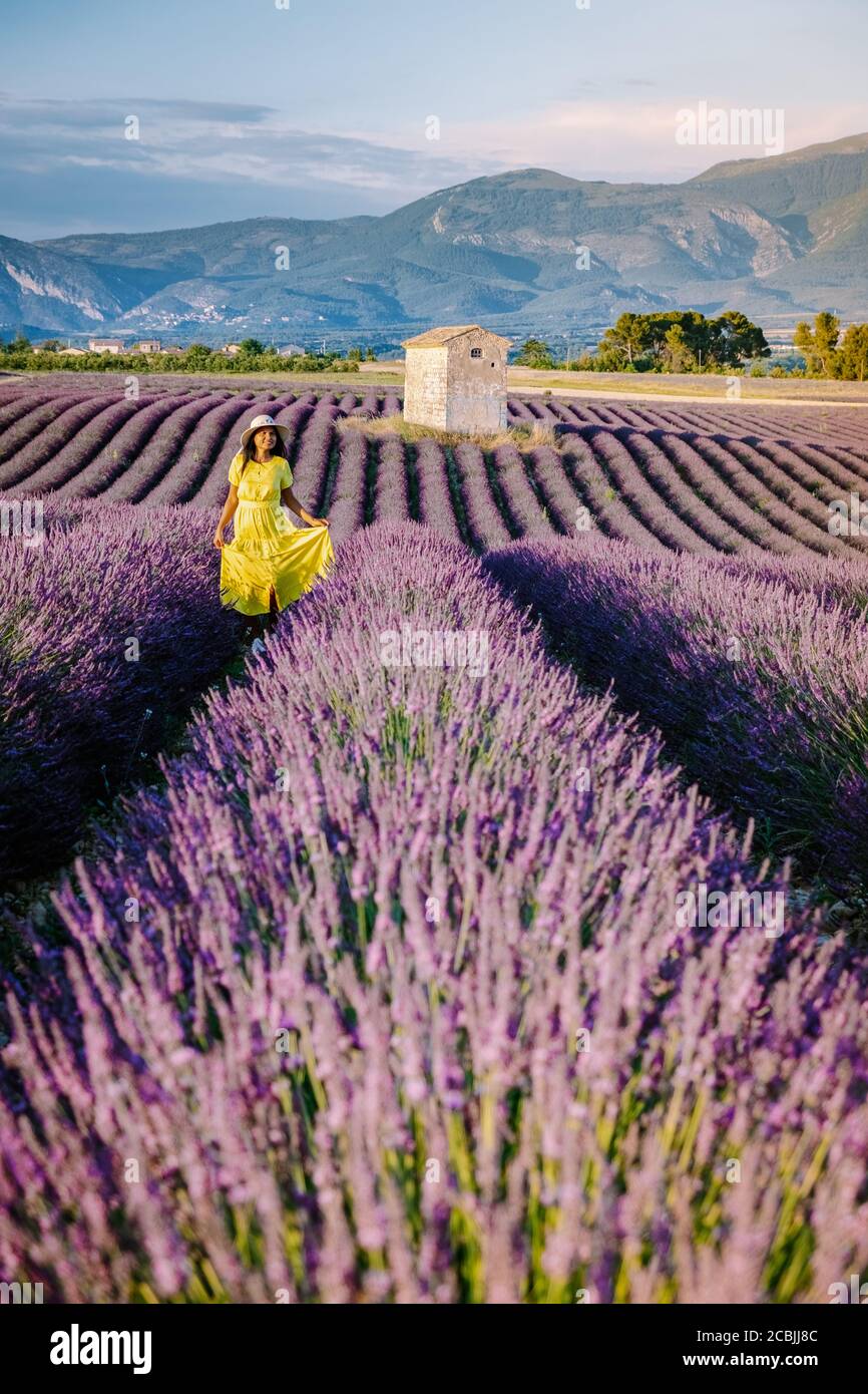 woman on vacation at the provence lavender fields, Provence, Lavender ...