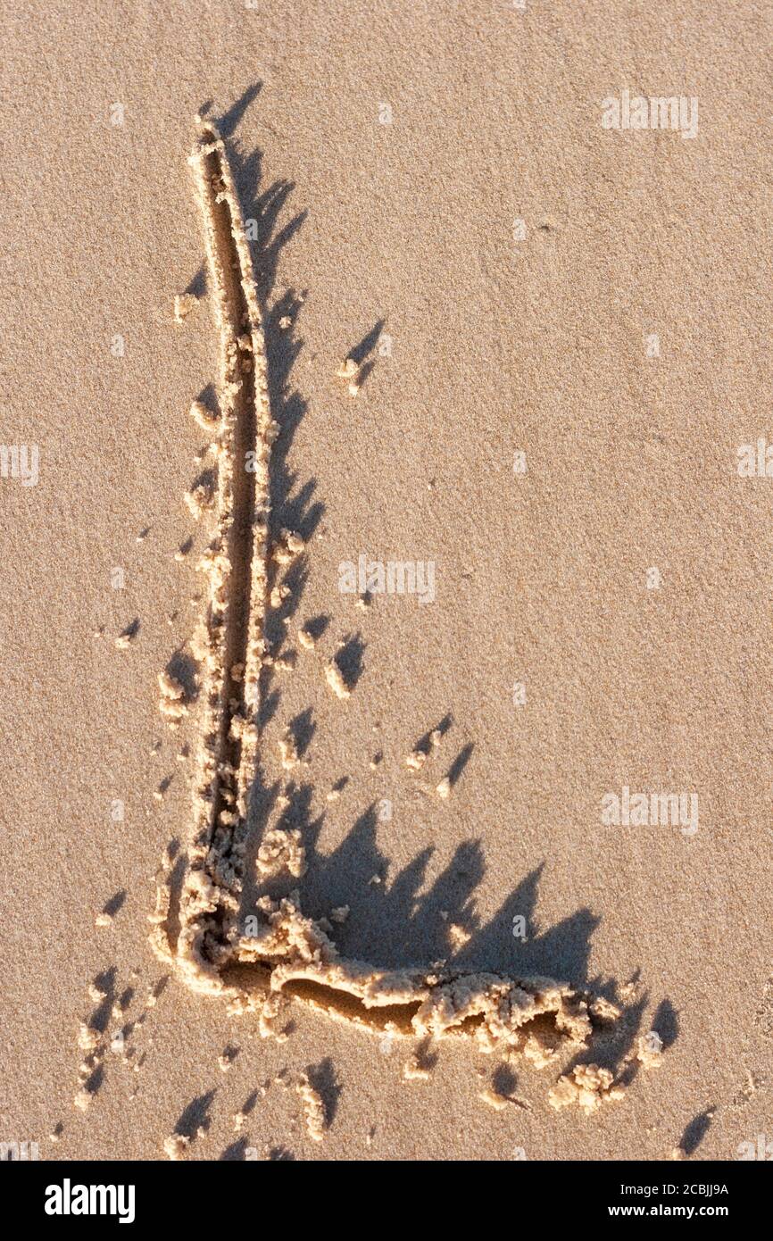 L - Alphabet letter written on sand Stock Photo - Alamy