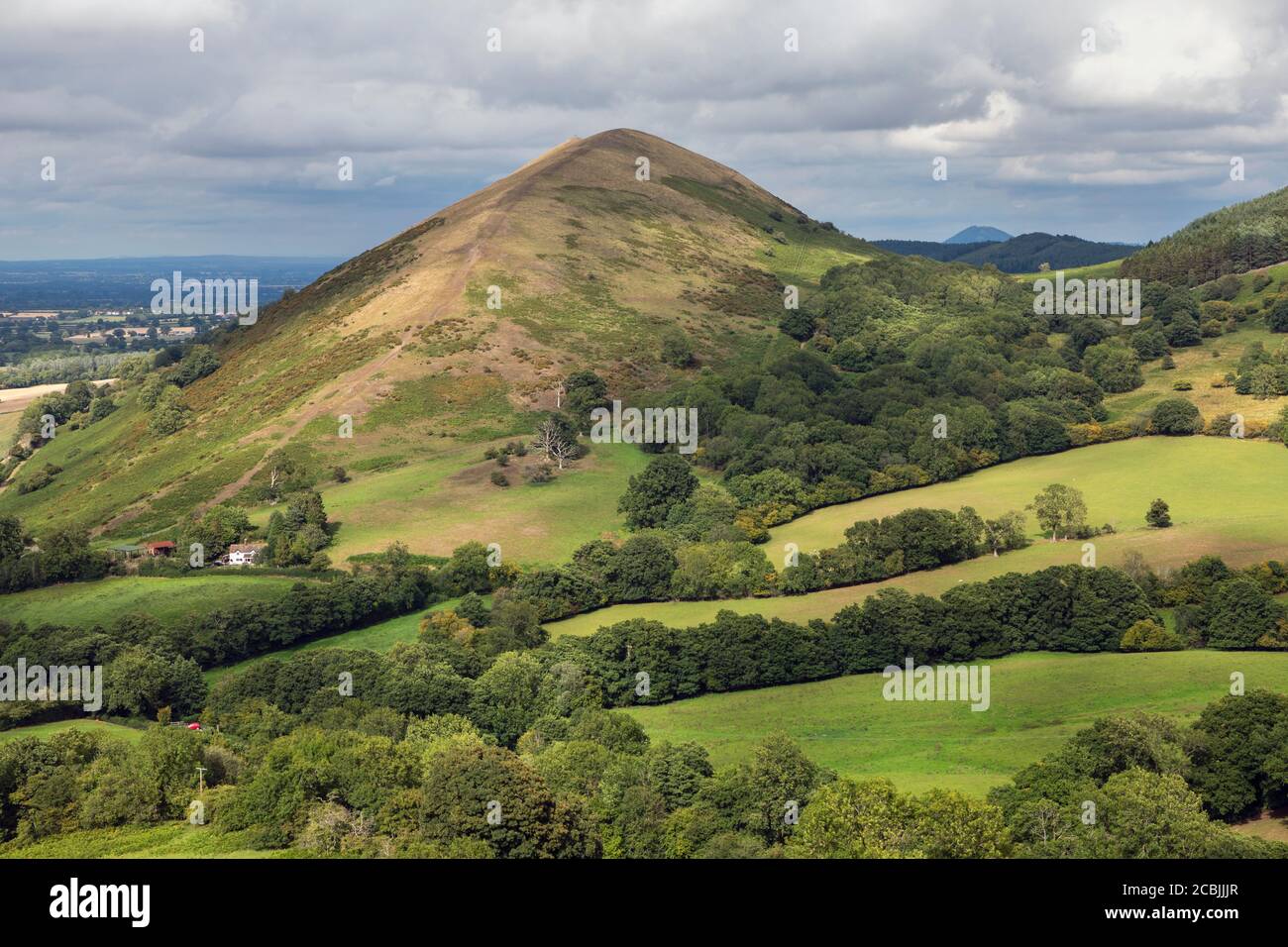 Lawley hi-res stock photography and images - Alamy