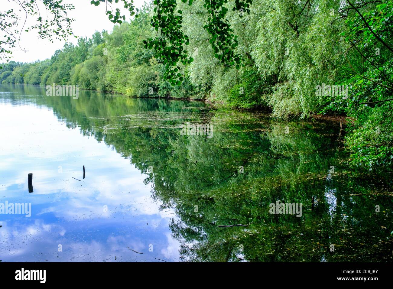 Clifton Country Park, Salford, Greater Manchester, UK, in summer Stock ...