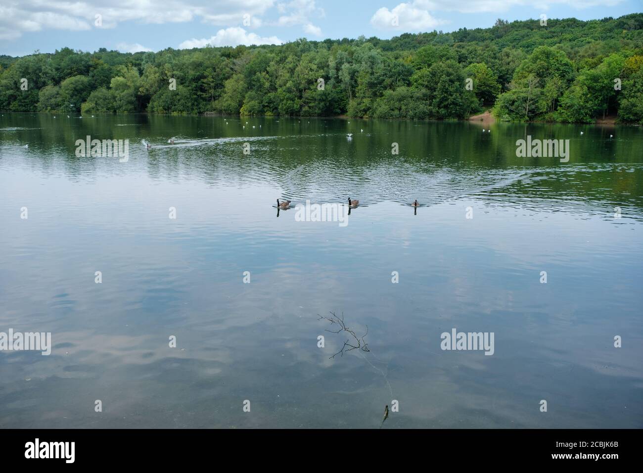 Clifton Country Park, Salford, Greater Manchester, UK, in summer Stock ...
