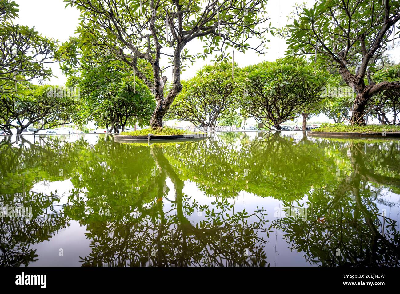 Beautiful images of trees reflecting on the surface of the lake ...