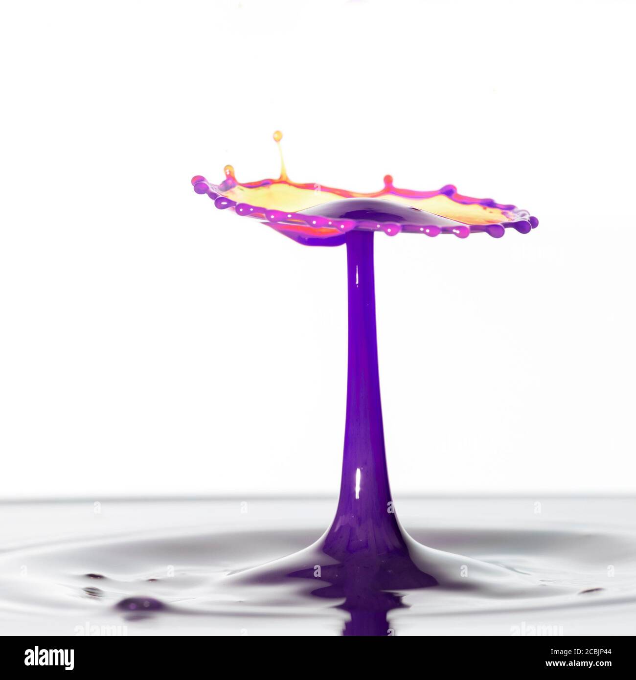 Stunning unique abstract water splash photography images with vibrant ...