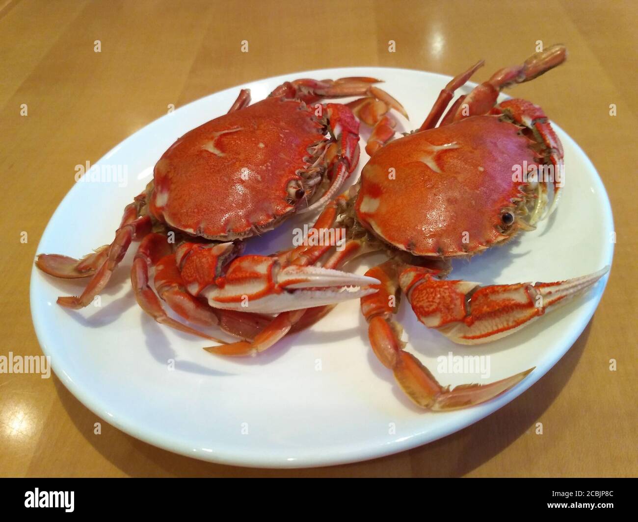 two fresh cooked crabs on the white plate in restaurant Stock Photo - Alamy