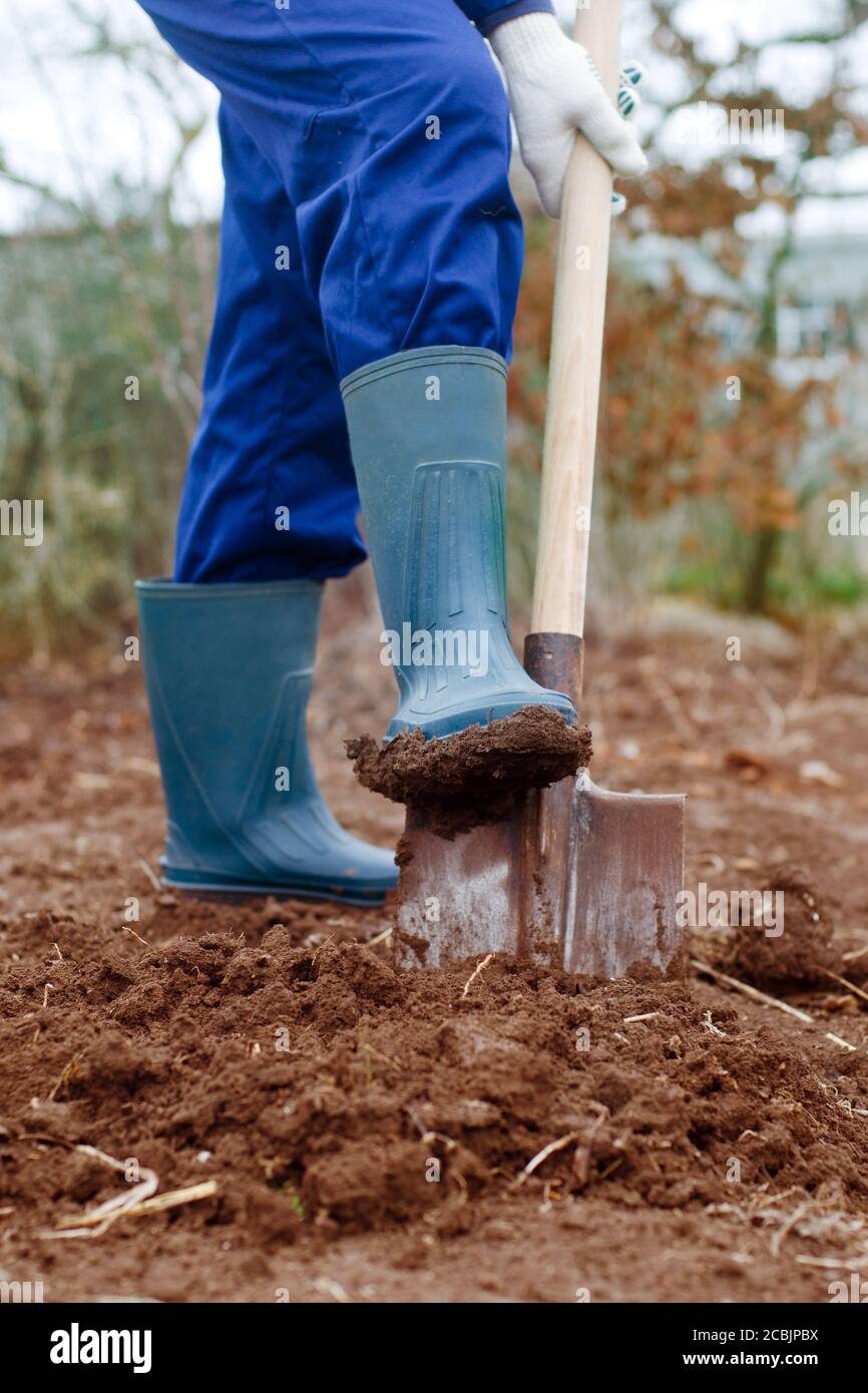 Farmer digging spade hand tool hi-res stock photography and images - Alamy
