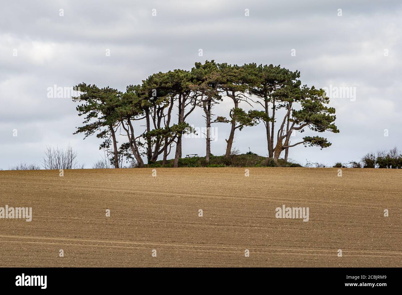 Europe landscape pretty peaceful scenic farmland trees hi-res stock ...