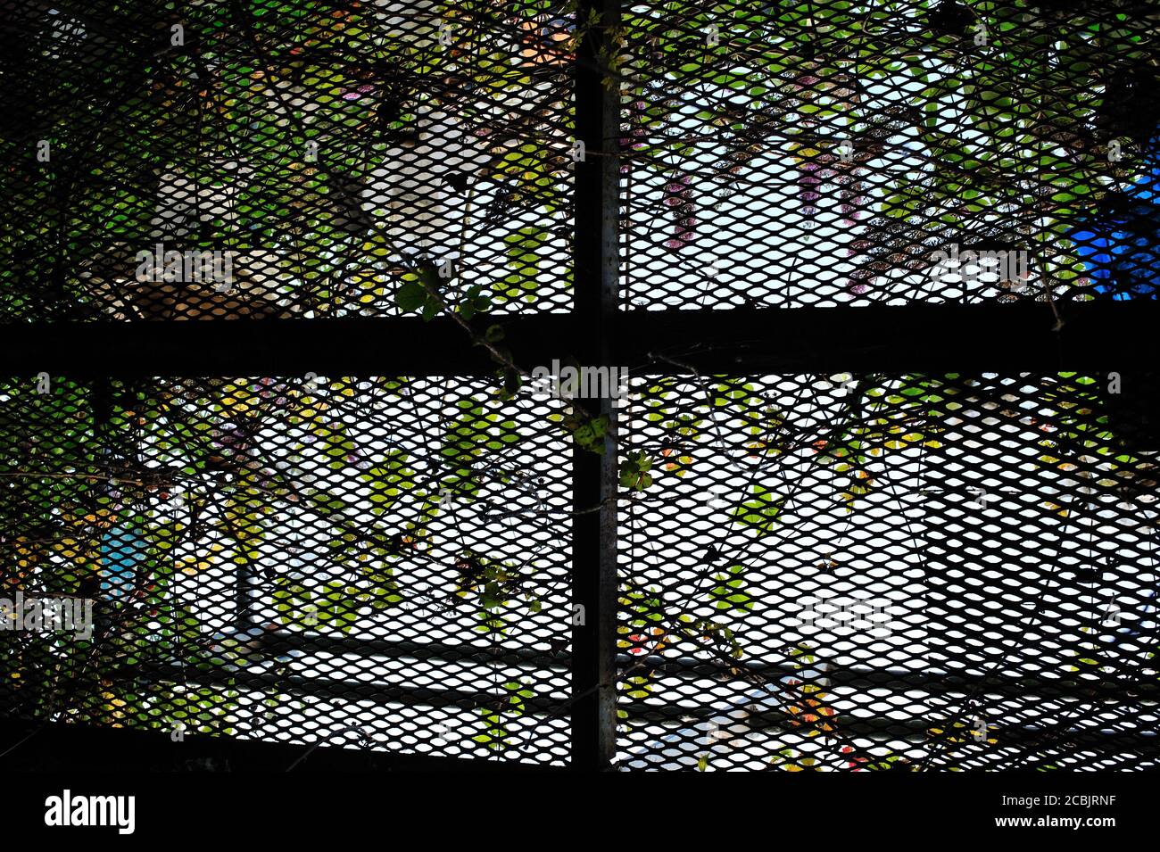 Under the walk way, the view looking up from a pedestrian tunnel Stock ...