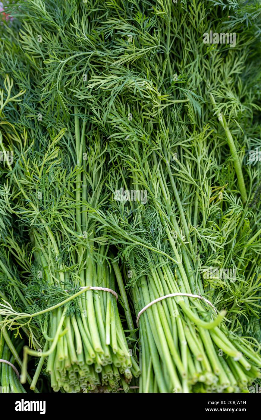 Bunches dill herb hi-res stock photography and images - Alamy