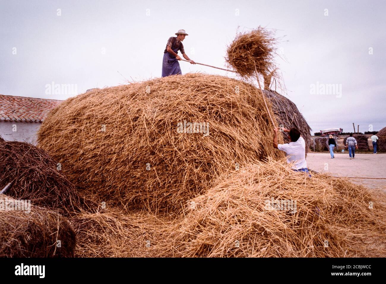 Farmer building a haystack with a pitchfork the Vendee France 1989 ...